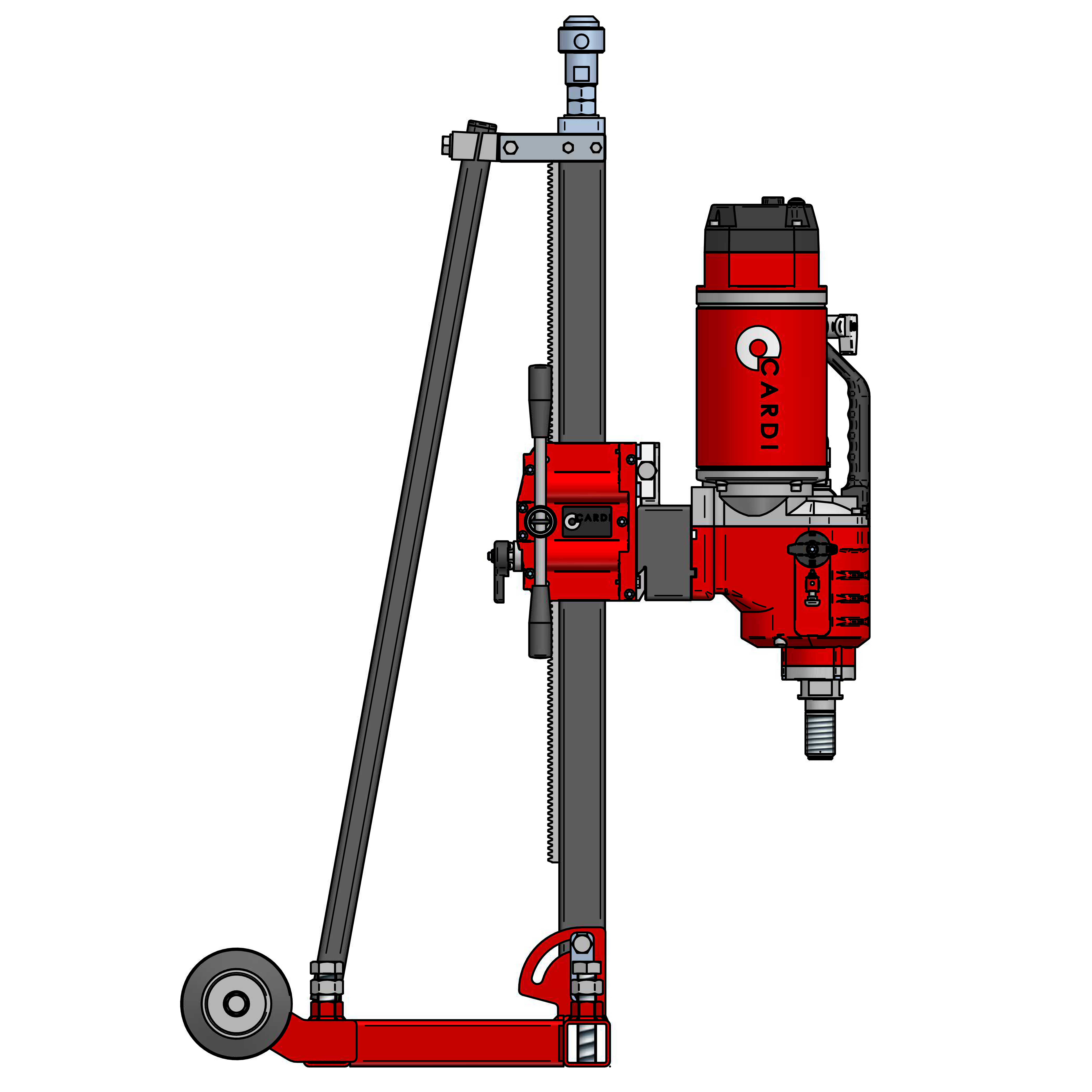 CARDI 205 · CARDI